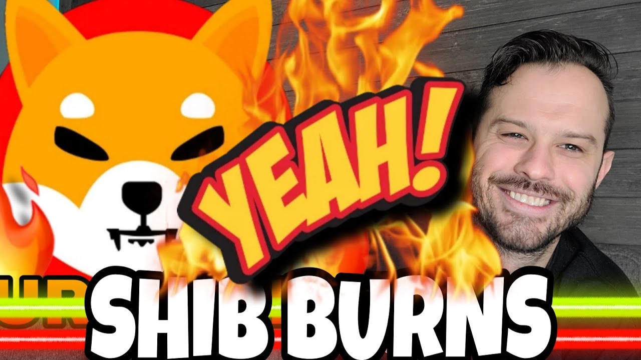 Shiba Inu Coin | SHIB Burns Continue To Grow! - YouTube