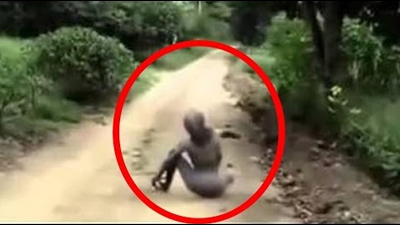 TOP 5 Strange Creatures Caught on Tape 2017 I Scary Videos I Real Alien ...