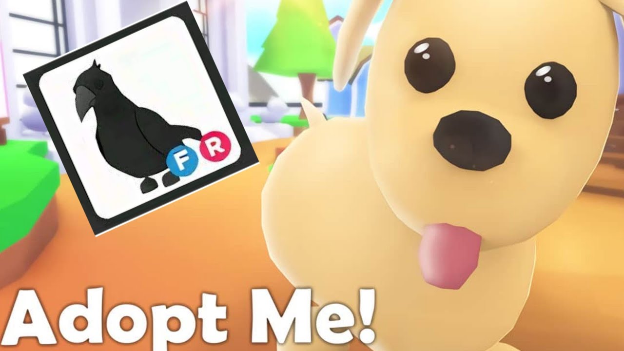 COMO GANHAR UM PET ANTIGO NO ADOPT ME AINDA HOJE! CORRE VER! - YouTube
