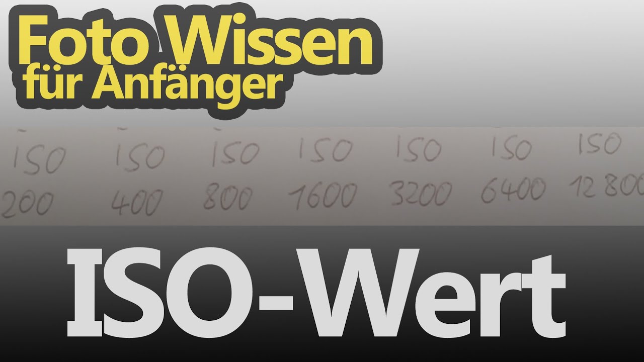 Der ISO-Wert beim Fotografieren - einfach erklärt - YouTube
