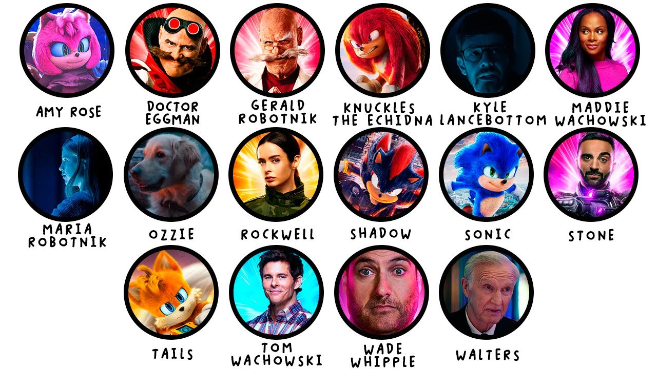 Every Sonic the Hedgehog 3 Character Explained in 15 Minutes! - YouTube