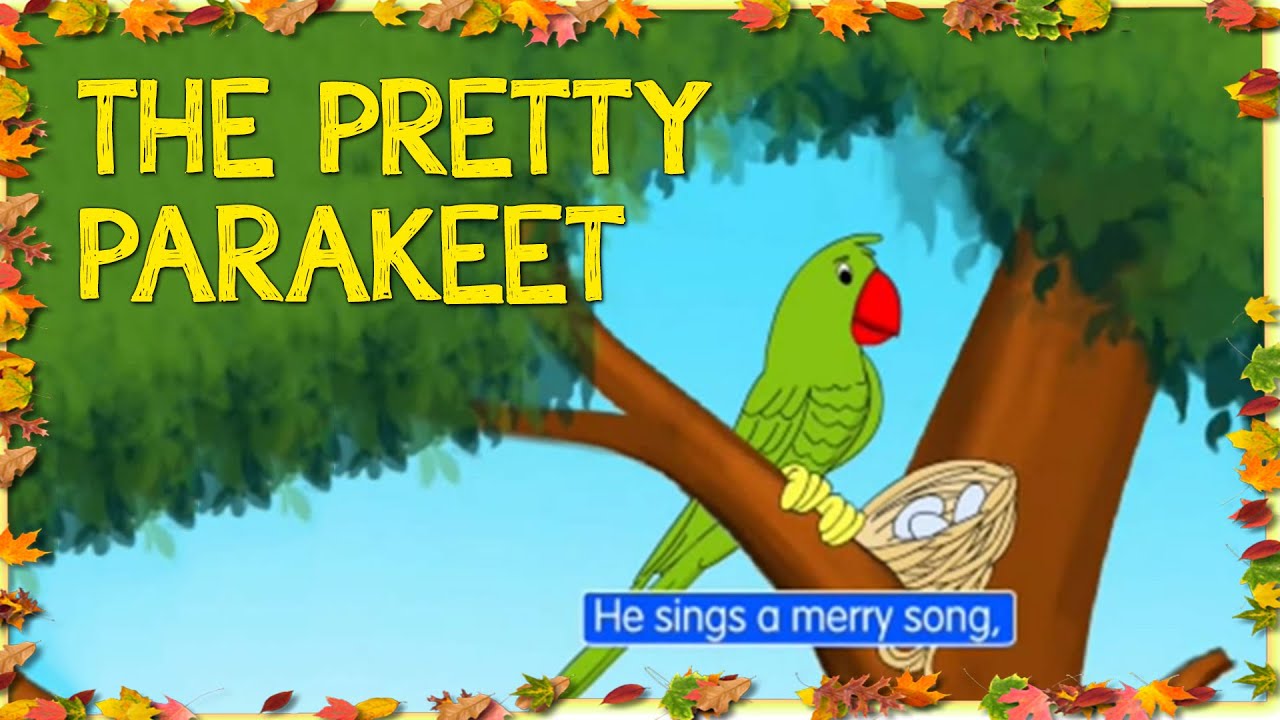 The Pretty Parakeet - Nursery Rhyme With Lyrics - YouTube