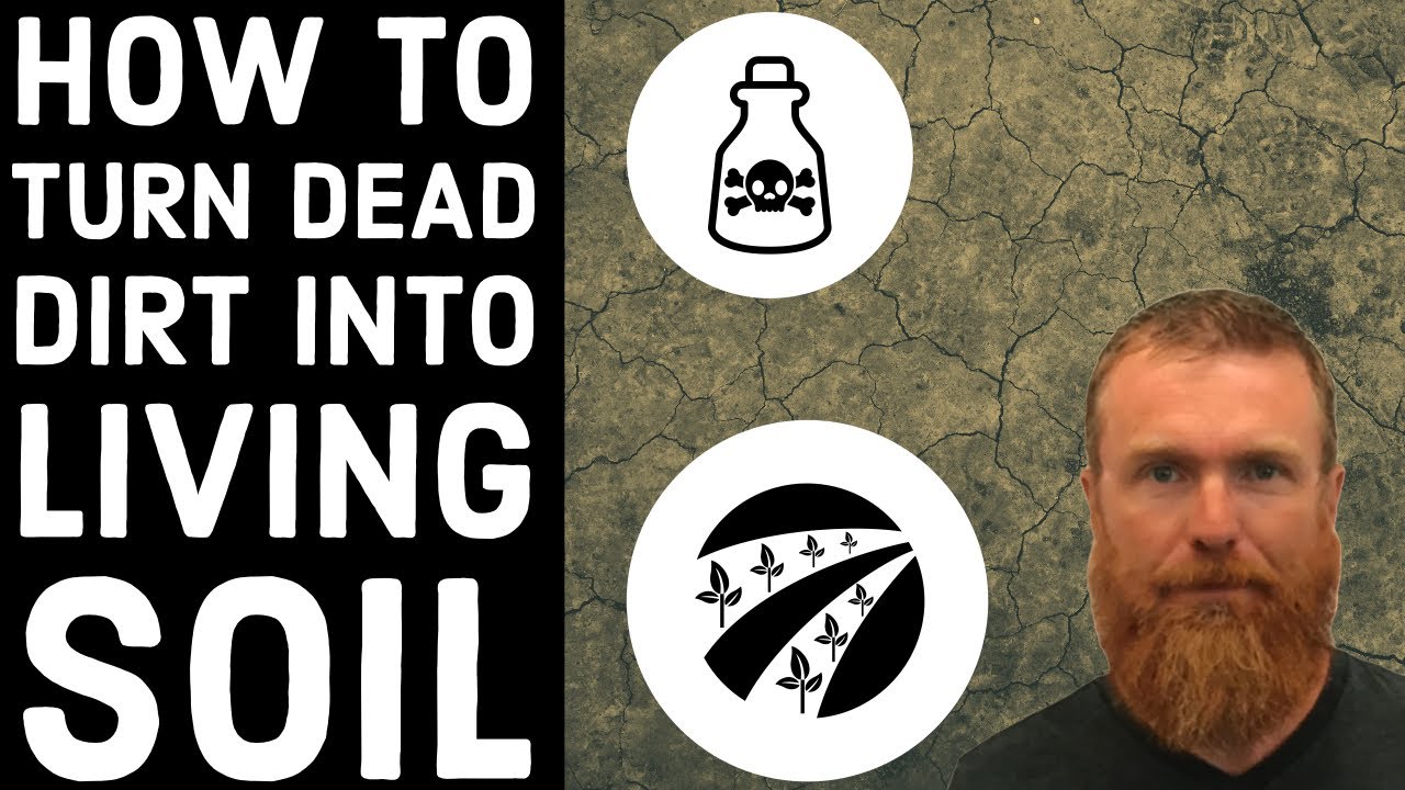 How to Turn Dead Dirt Into Living Soil - YouTube
