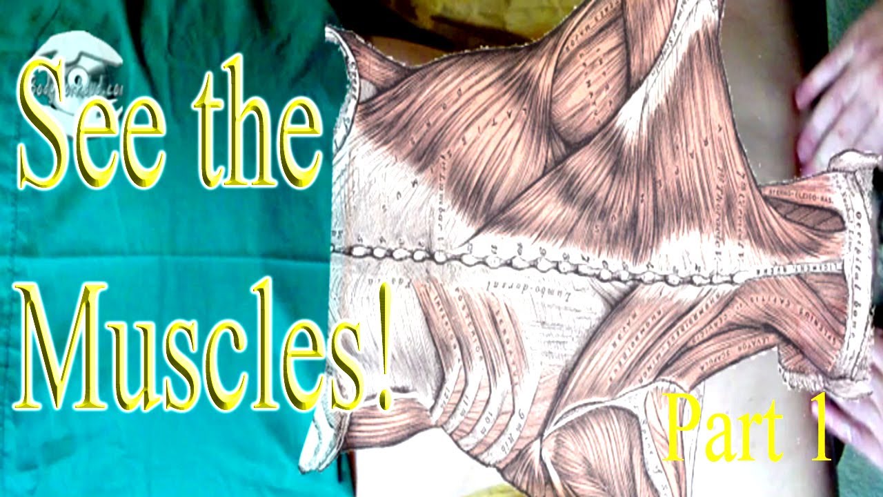 Therapeutic Back Massage Routine Part 1 - YouTube