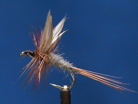 Fly Tying a Classic Dry Fly a Whirling Blue Dun with Jim Misiura - YouTube