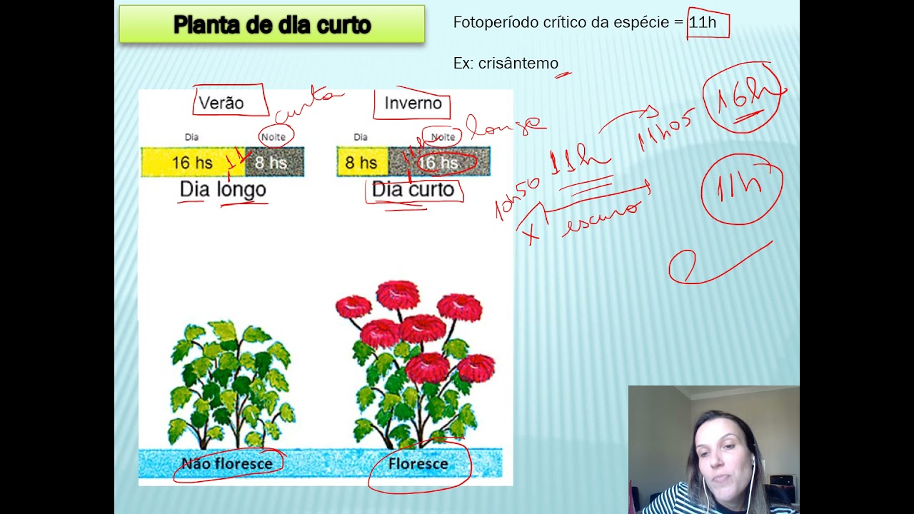 Fisiologia Vegetal - parte 07 (morfogênese) - YouTube