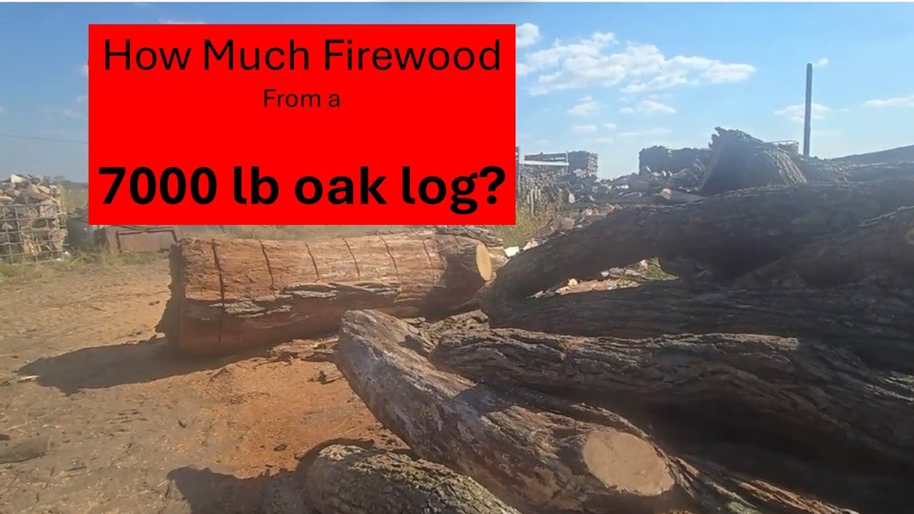 How Much Firewood from a 7k lb. Oak Log - YouTube
