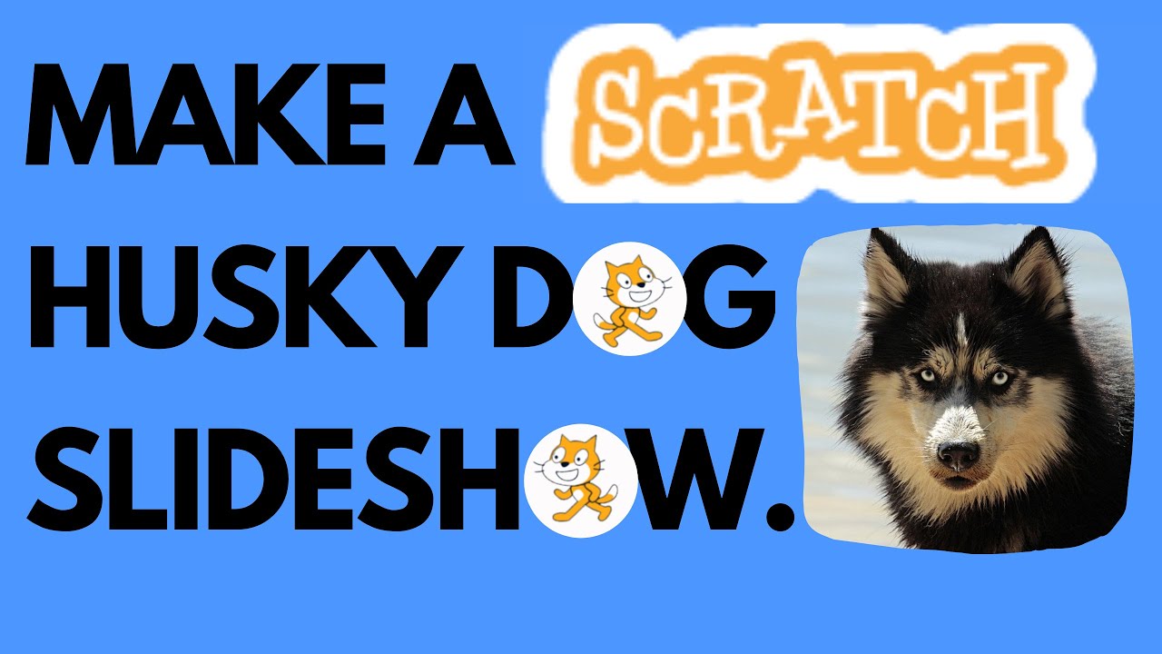 SCRATCH TUTORIAL MAKE A SLIDESHOW ABOUT DOGS 🐩🐕🐕‍🦺 - YouTube