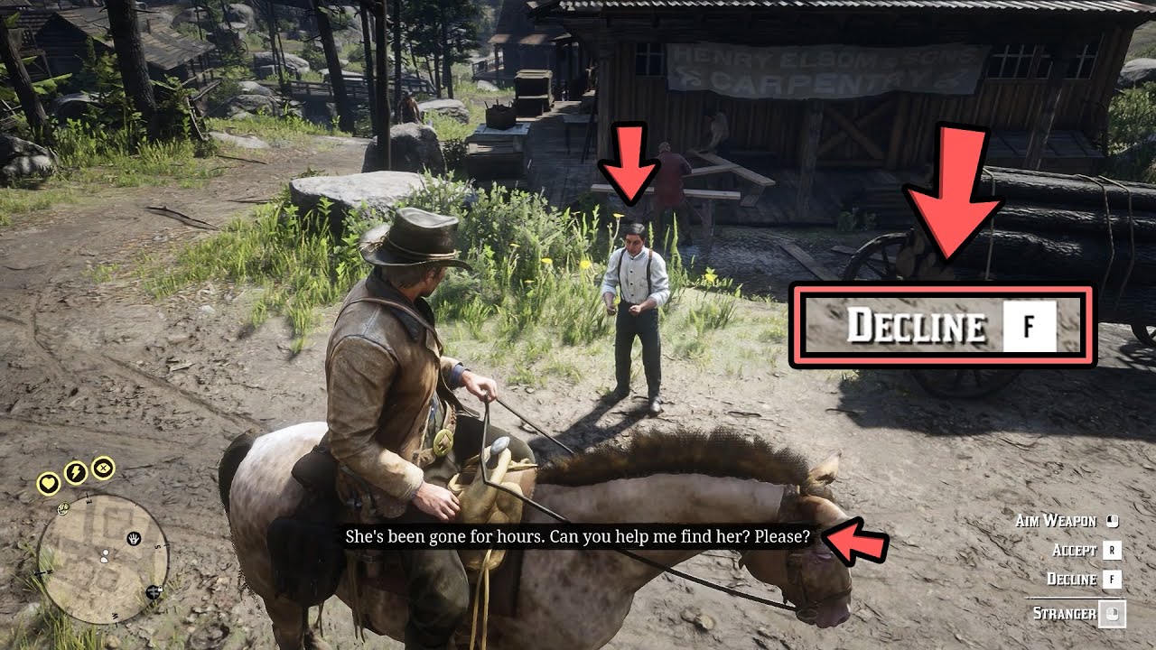 What happens if you refuse to help the boy find his lost dog in ...