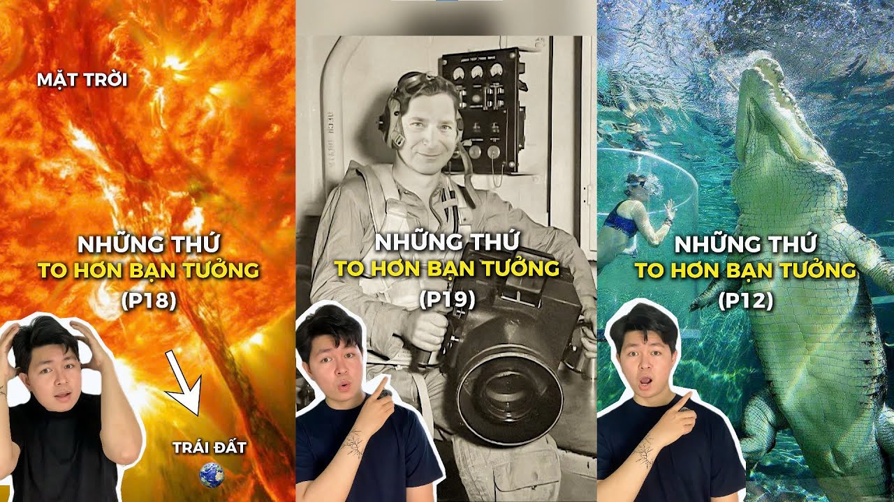 Tổng hợp những thứ to hơn bạn tưởng (P11 - P20) - YouTube