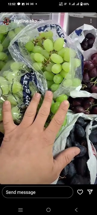 Variety of tasty Grapes 🍇😋#grape#delicious - YouTube