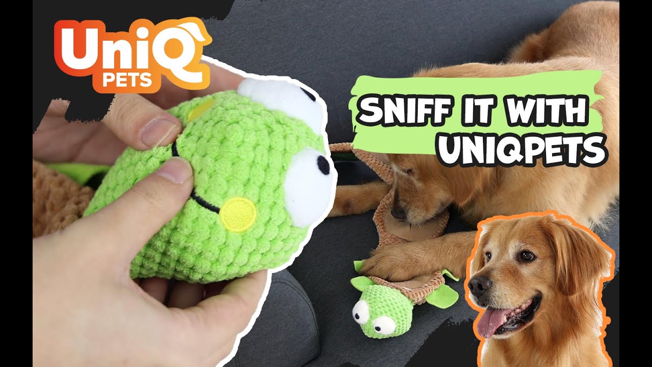 Sniff plushie toys + snacks - YouTube