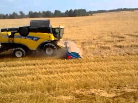 Stripper header harvesting barley in Estonia. - YouTube
