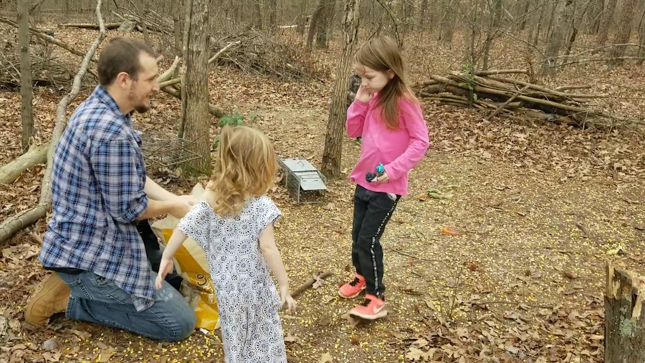 Corn Fight - YouTube