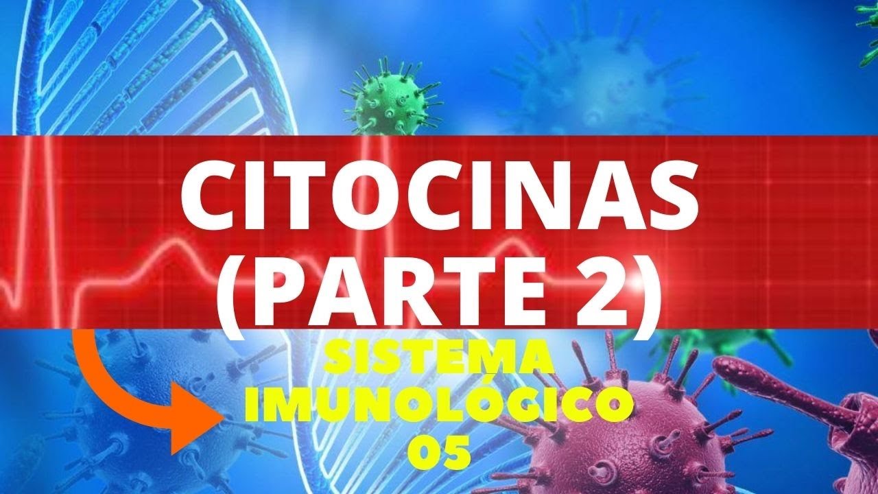 CITOCINAS (PARTE 2) - ENTENDA AS CITOCINAS DA IMUNIDADE ADQUIRIDA ...