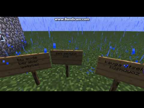 duygusal arkadaşlık klibi