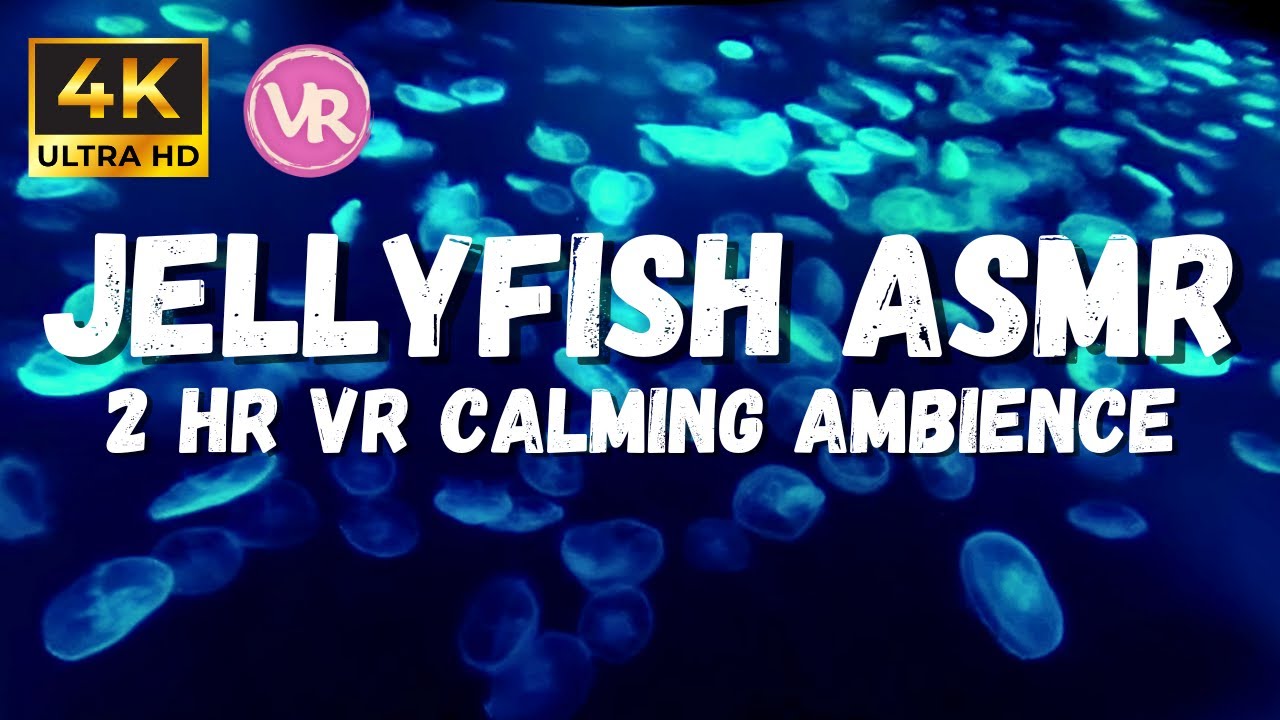Under Water Sounds for Sleeping: Jelly Fish ASMR with No Music, 4K ...