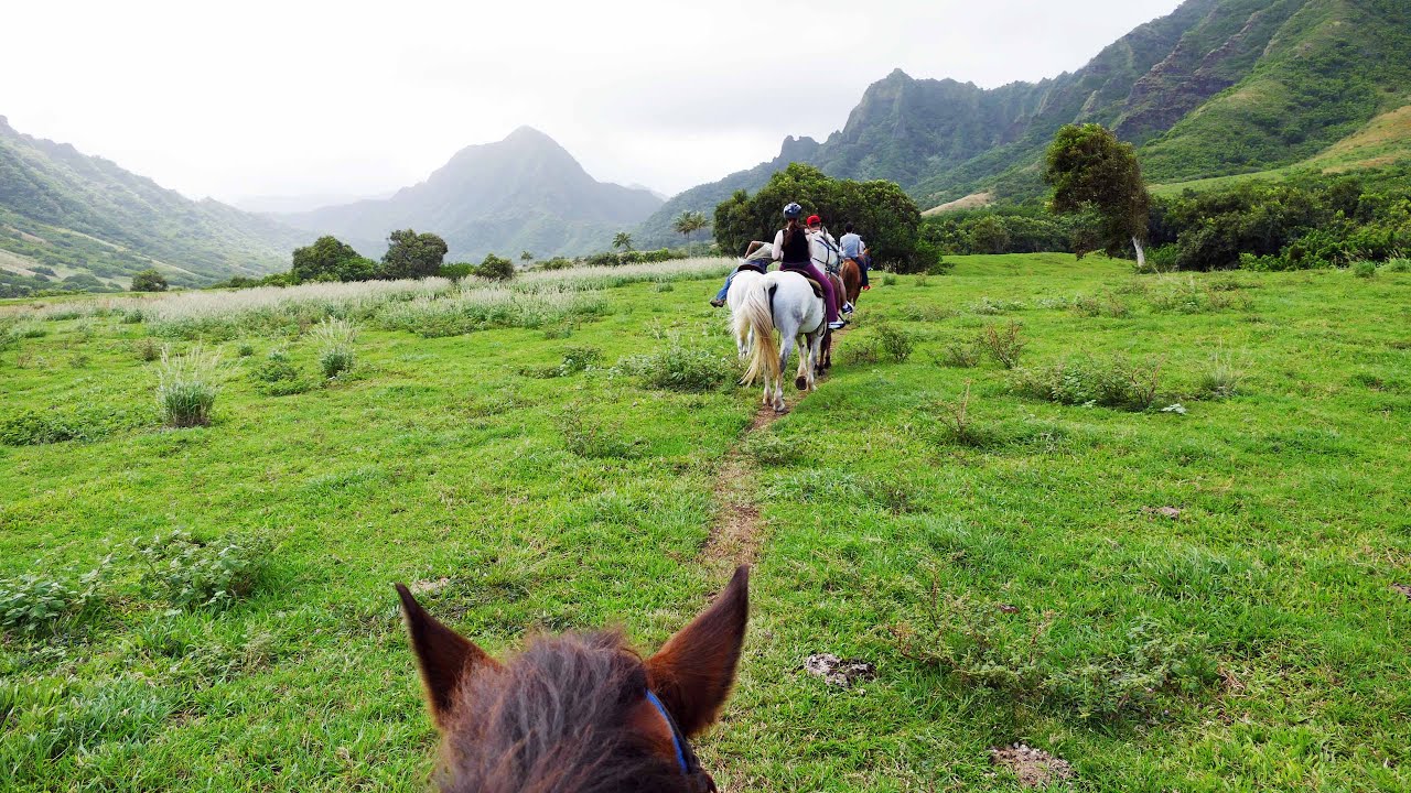 Amazing horseback riding where Jurassic Park was filmed - Kualoa Ranch ...