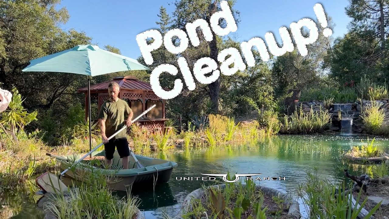 Natural Swimming POND MAINTENANCE! (Methods, Pro Tuff Silt Rake Quality ...