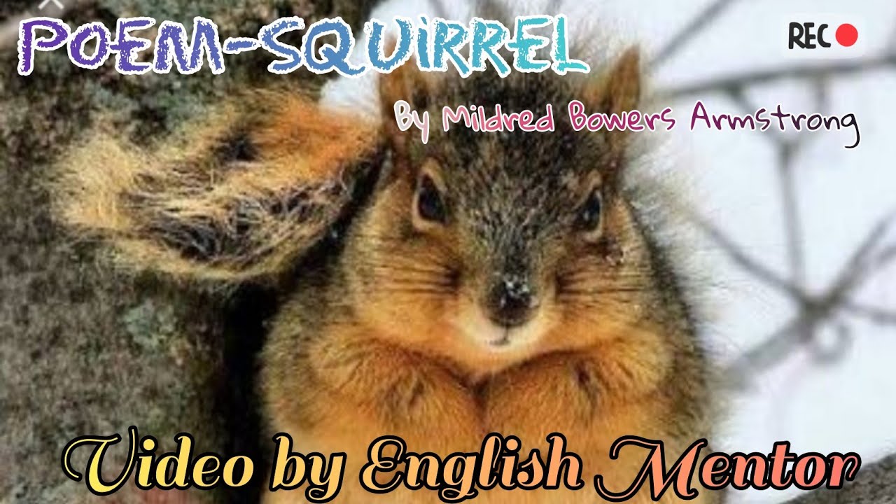 POEM-THE SQUIRREL by Mildred Bowers Armstrong SUMMARY - YouTube