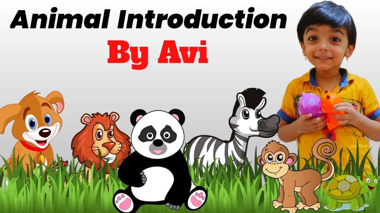 Animal Introduction By Avi | Animal introduction | Avis Bachpan - YouTube