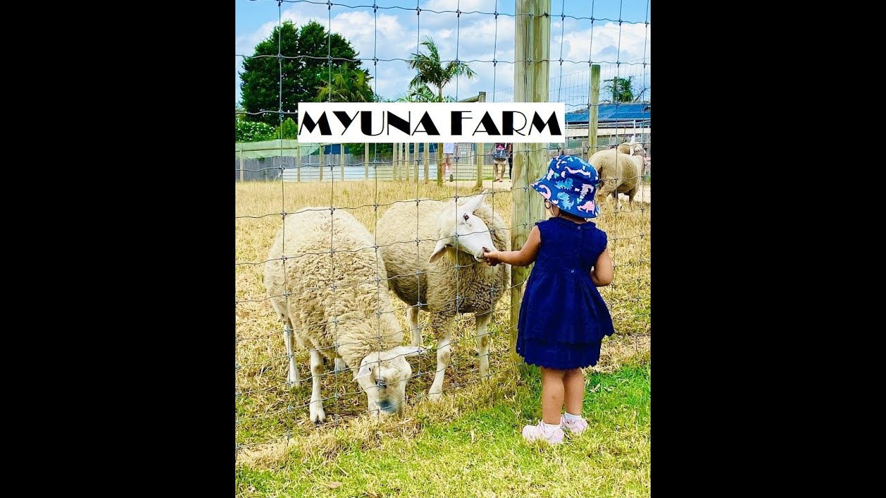 A day at Myuna Farm VIC,Australia #toddler #nature #animals # ...