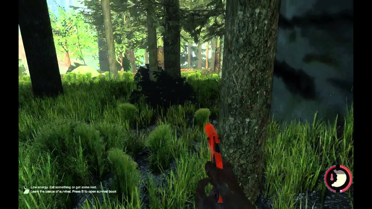 The Forest Gameplay The Cockpit of the plane. - YouTube