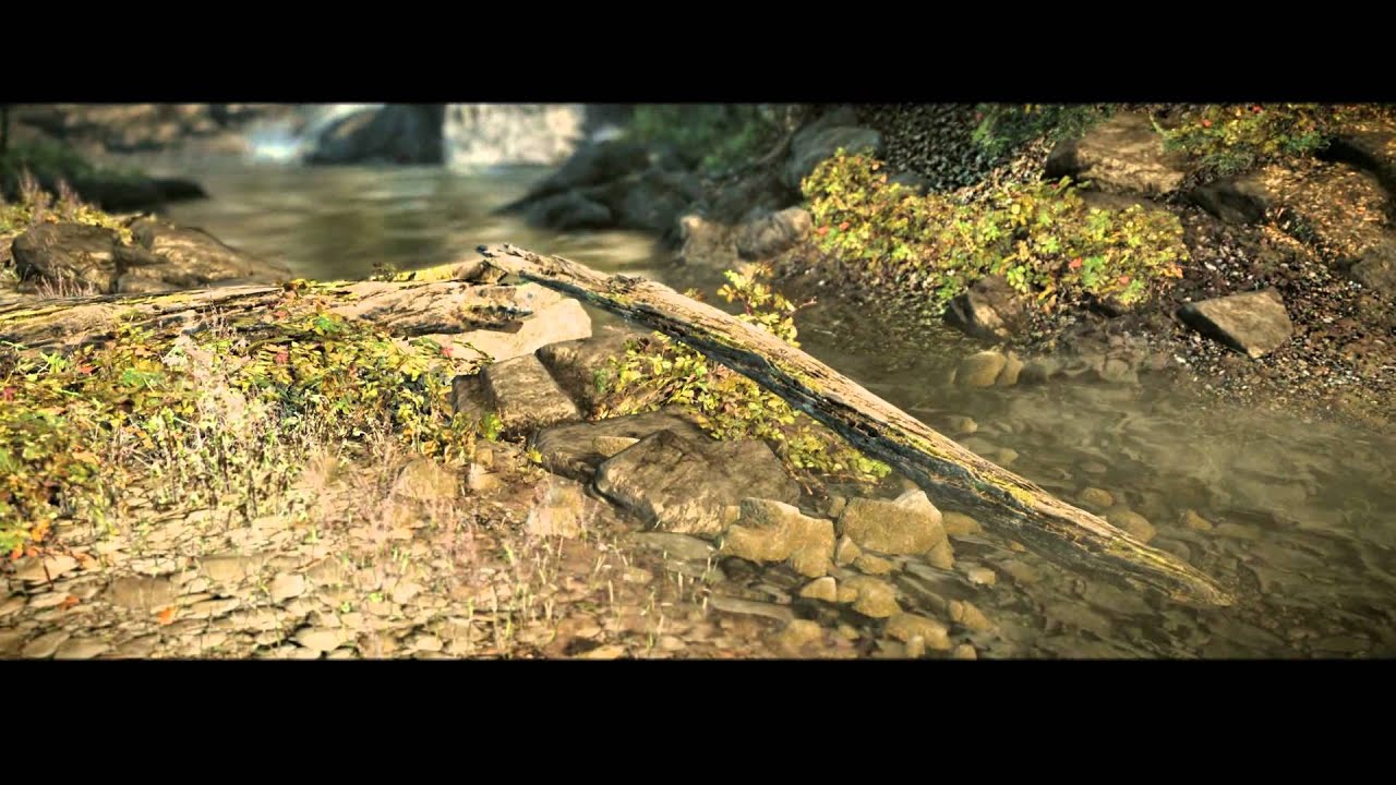 CryEngine 3 SDK Demo Environment: "Forest" [HIGH Settings] [30+ FPS ...