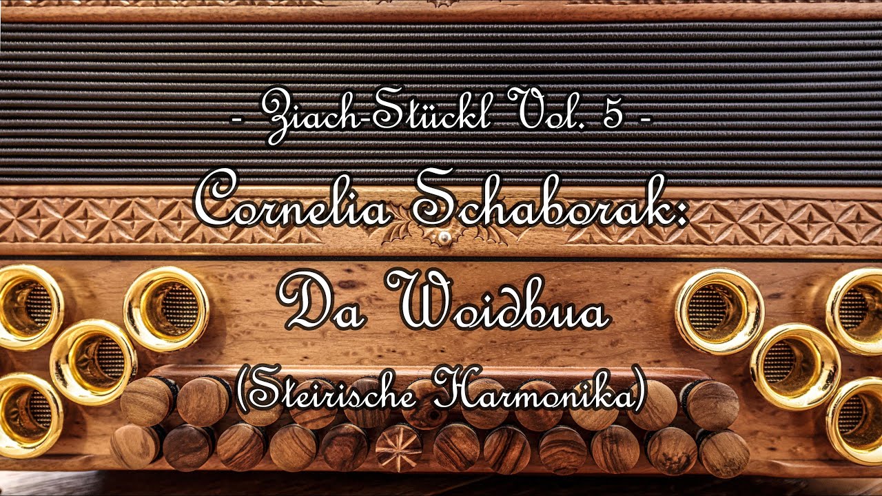 Ziach-Stückl Vol. 5: Cornelia Schaborak: Da Woidbua (Steirische ...