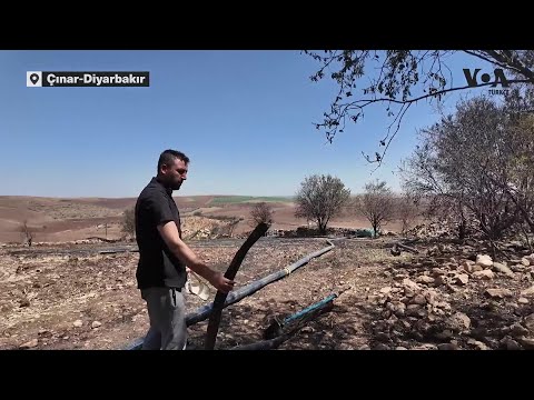 Diyarbakır’daki yangınlardan sonra yeniden göç endişesi| VOA Türkçe