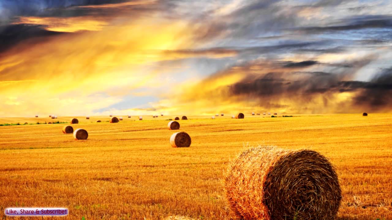Relaxing Piano Music | Farmland Sunset | Sleep, Relax, Study ...