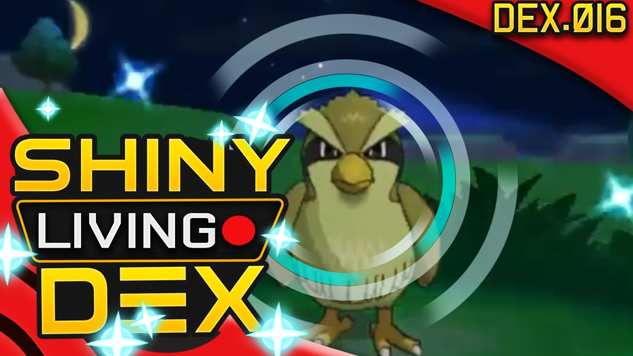 SHINY PIDGEY! Live Reaction! Quest For Shiny Living Dex #016 | Pokemon XY - YouTube