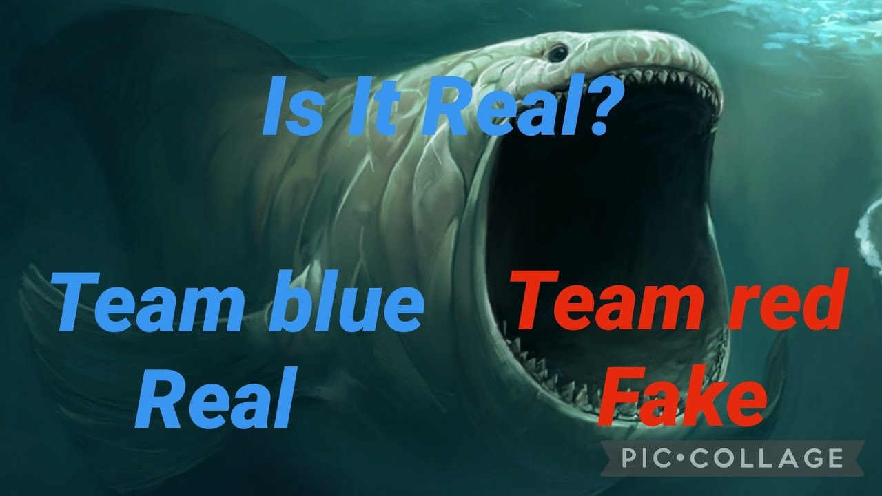 Is the bloop real some different facts about the bloop that you ...