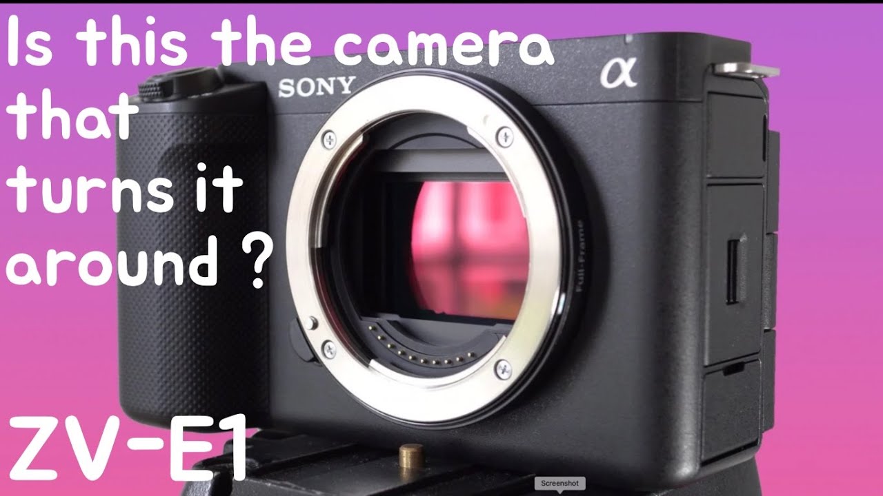 The state of the camera industry 2024! Did sony fix this in 2025 with ...