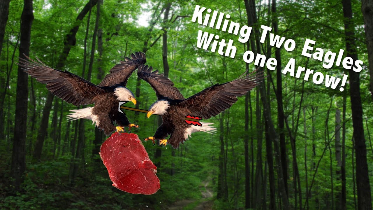 Killing Two Eagles With One Arrow (4-Character Saying) - YouTube