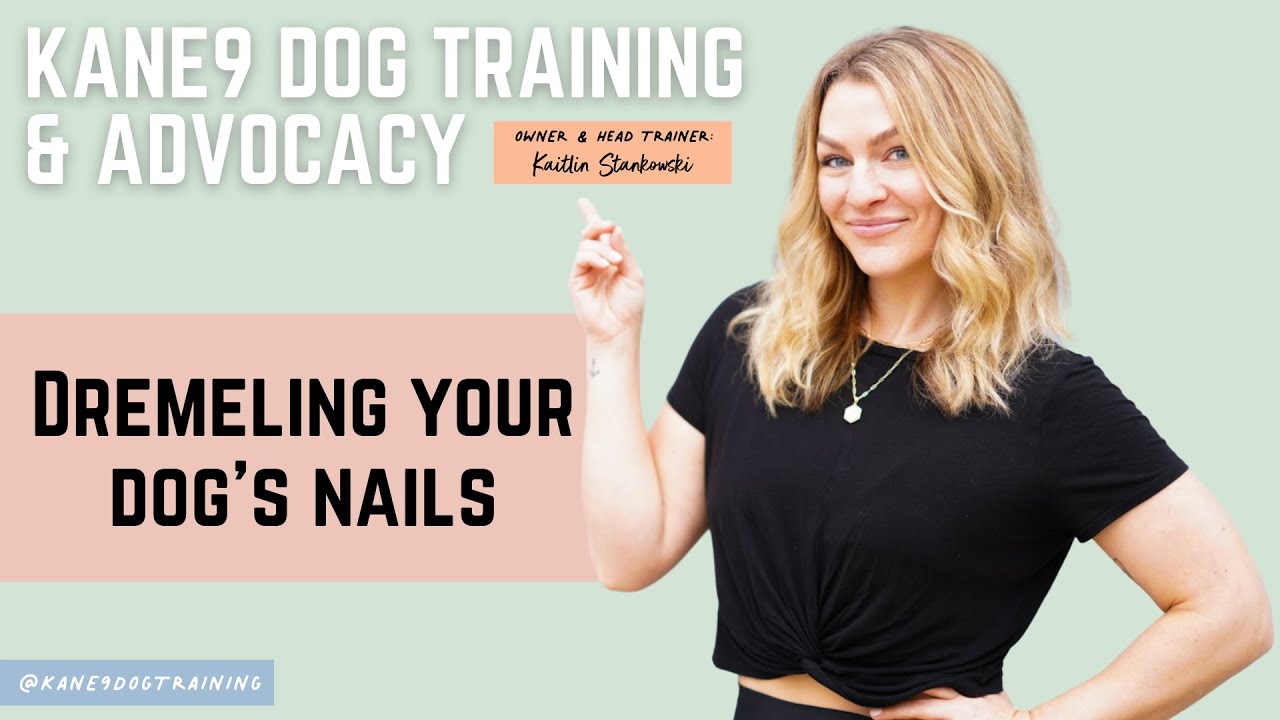 Dremeling Your Dog's Nails | KANE9 - YouTube