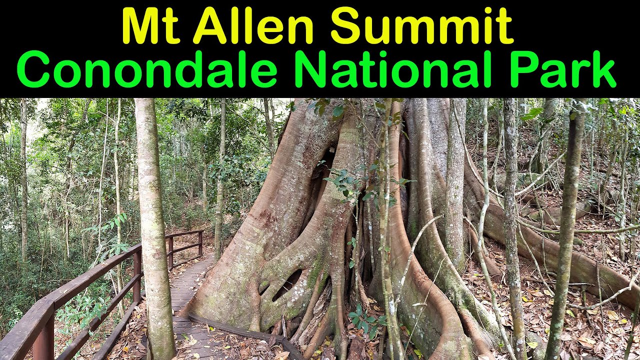 Booloumba Camp to Mt Allen Summit - YouTube