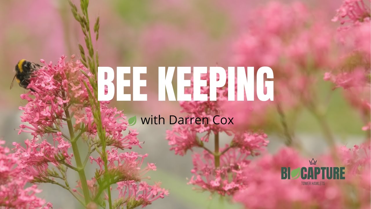 Bee Keeping with Darren Cox - QMUL - YouTube
