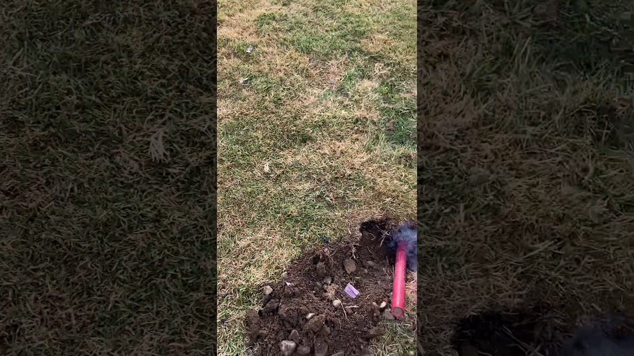 Gopher tracking - YouTube