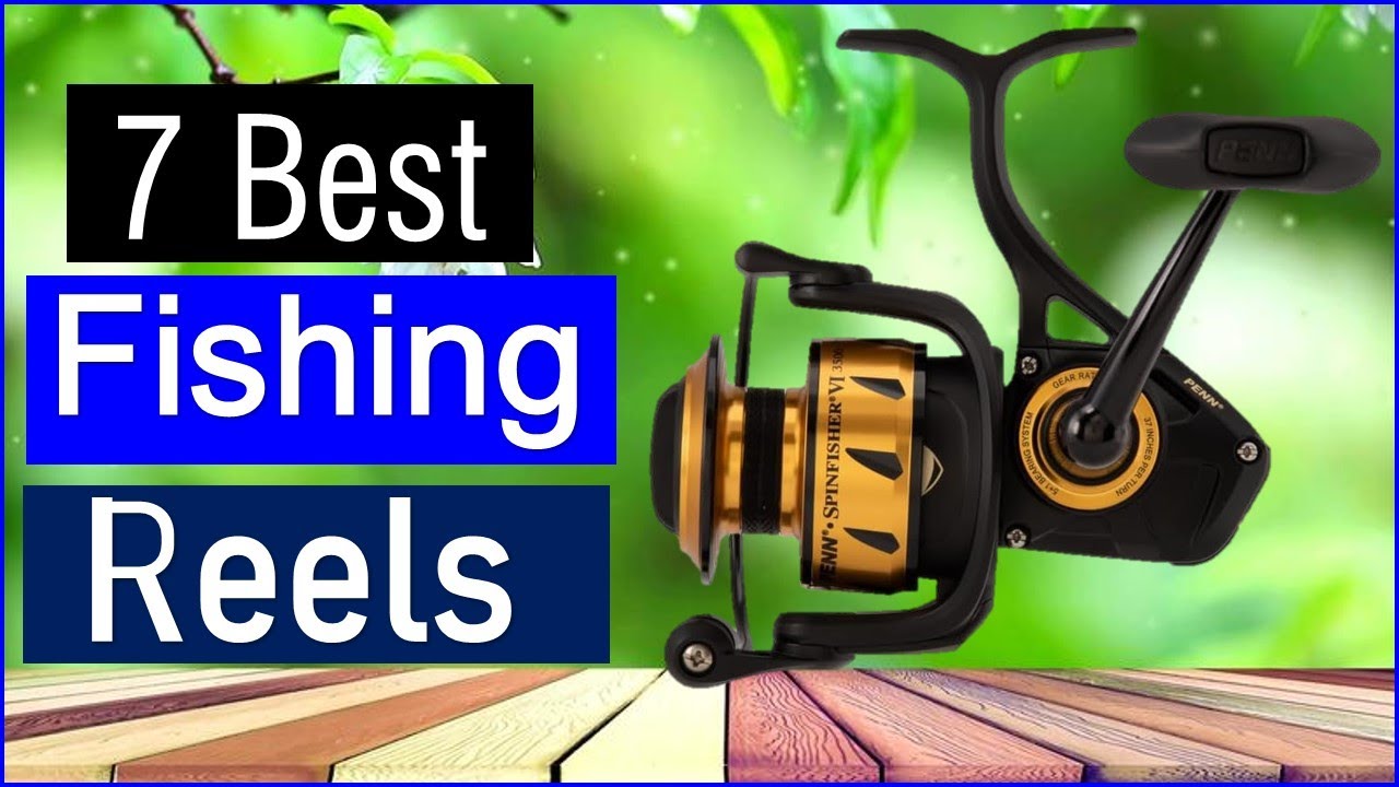 Top 7 Best Fishing Reel in 2025 | Best Fishing Reel - Buy Now - YouTube
