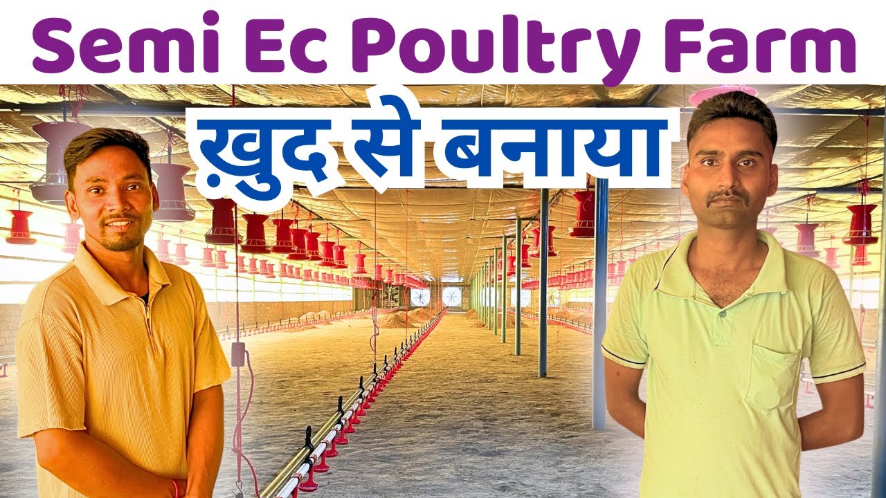 Semi Ec Poultry Farm Kayse Banyan | Poultry Farming - YouTube