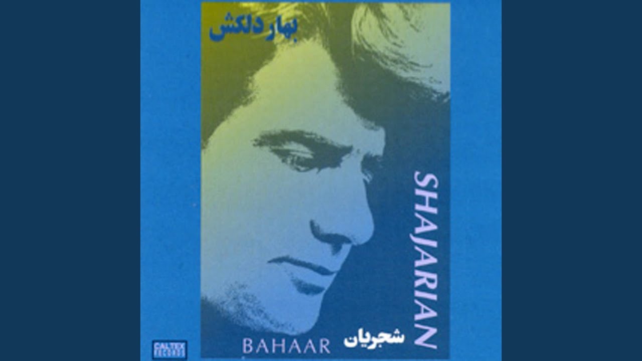 Bahare Delkash - YouTube