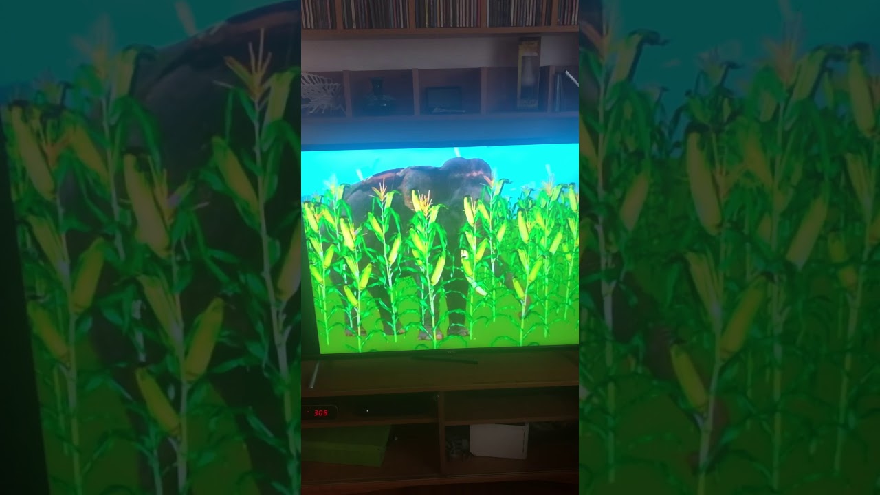 Elmo world Farms quiz - YouTube