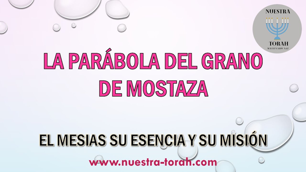 LA PARÁBOLA DEL GRANO DE MOSTAZA - MUSTARD SEED PARABLE (con subtítulos ...