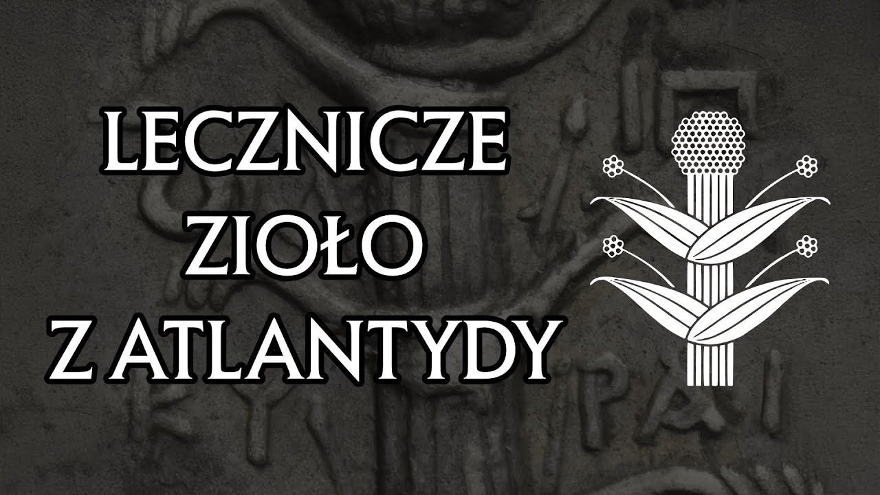 Sylfion, lecznicze zioło z Atlantydy - YouTube