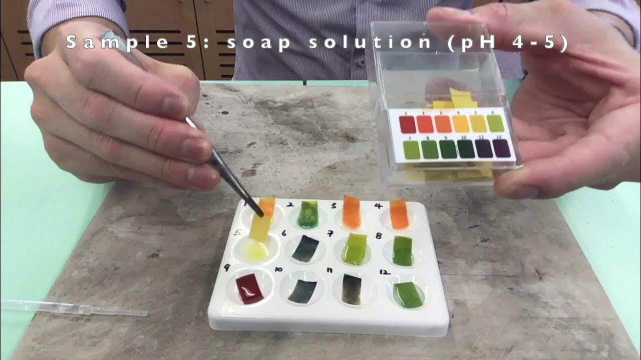 Experiment 16.1 - Determine the pH value of common substances - YouTube