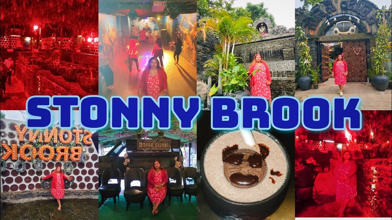 Stonny Brook cafe|Theme Restaurant in Bangalore|Darshan|D boss ...