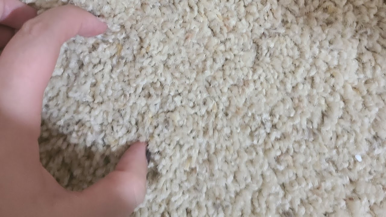 ASMR Short and Sweet Aggressive Carpet Scratching Sounds 👌 - YouTube