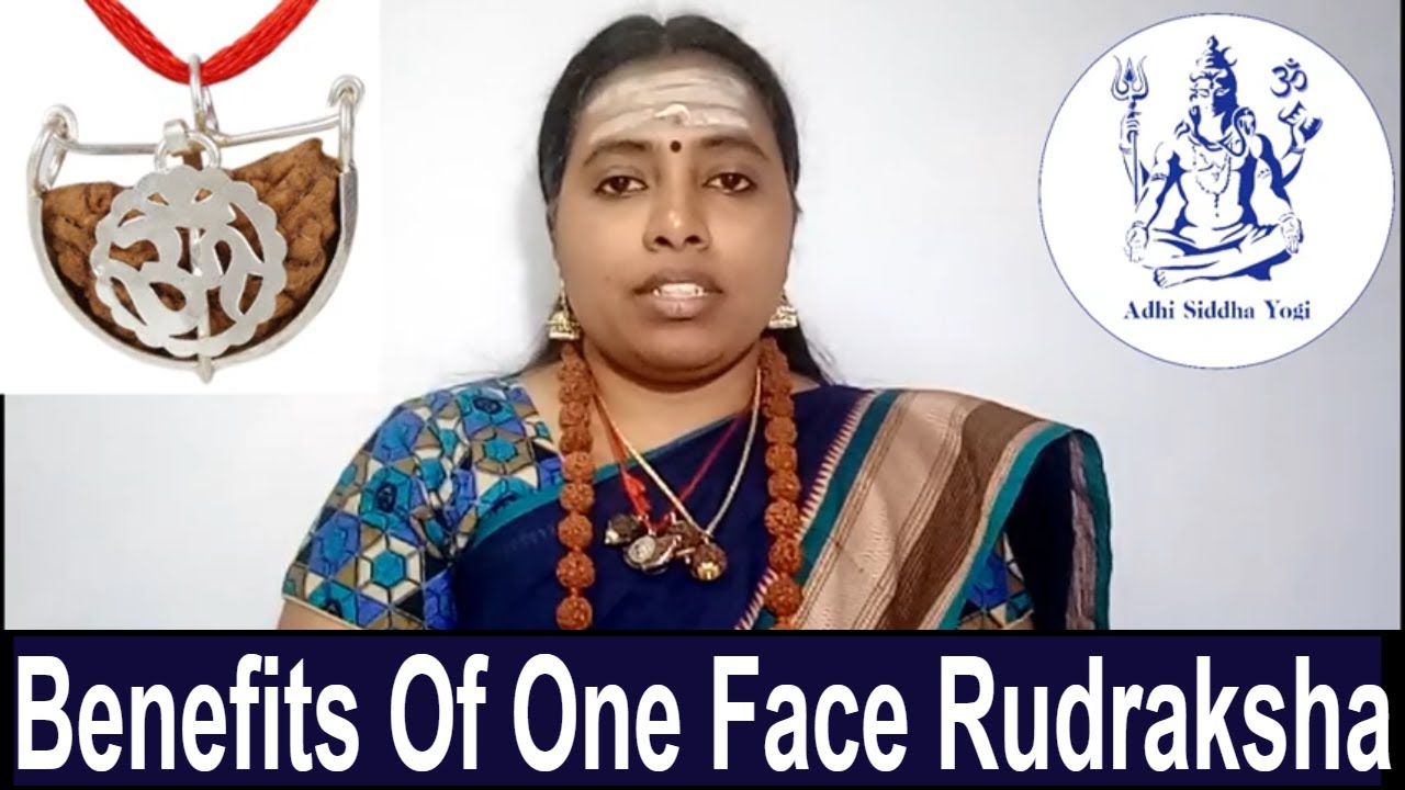 One Face Rudraksha Benefits | Adhi Siddha Yogi | English | One Mukhi ...