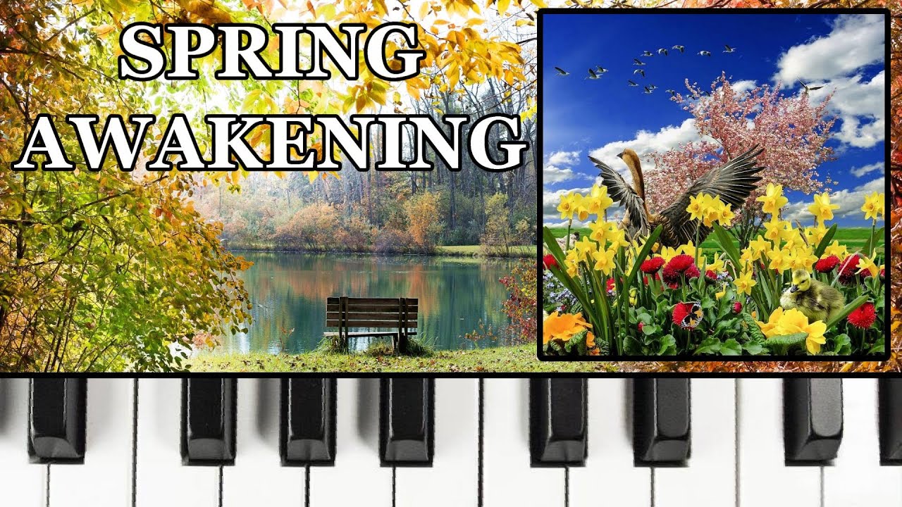 Spring Awakening - Seasons of Joy | Piano Composition by Tobias Beiler ...
